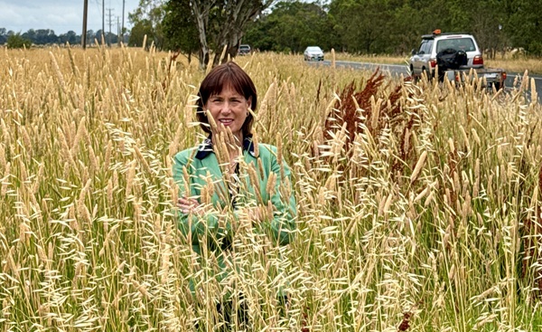 Vegetation Concern - GOLD 1242 & GOLD FM 98.3